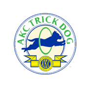 Dog Training Services – Misty Downs Animal Wellness & Training
