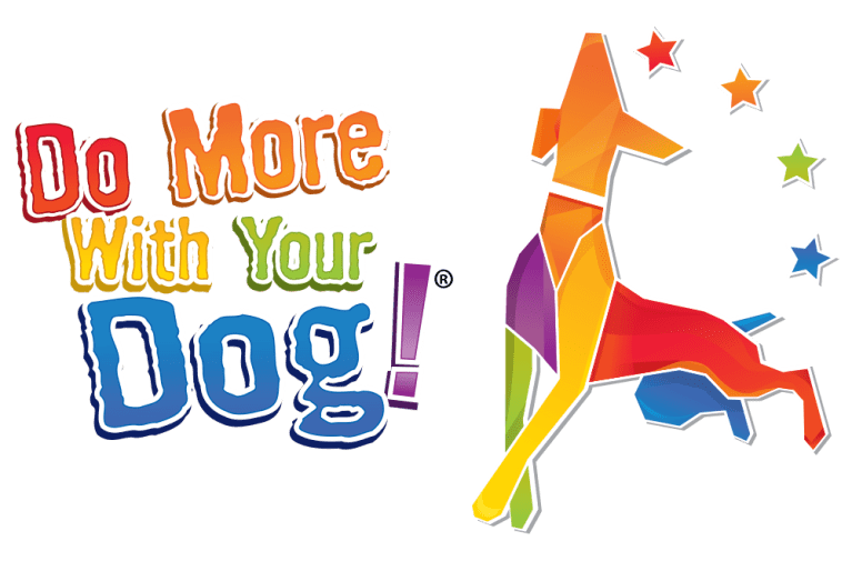 Dog Training Services – Misty Downs Animal Wellness & Training